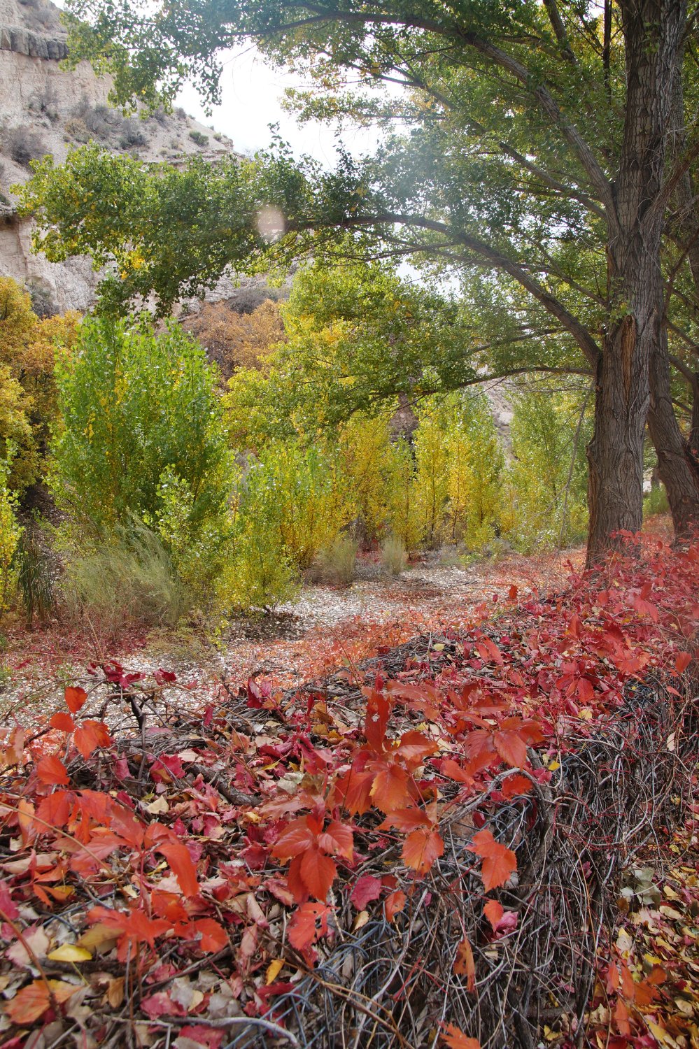 Solve Changing jigsaw puzzle online with 77 pieces