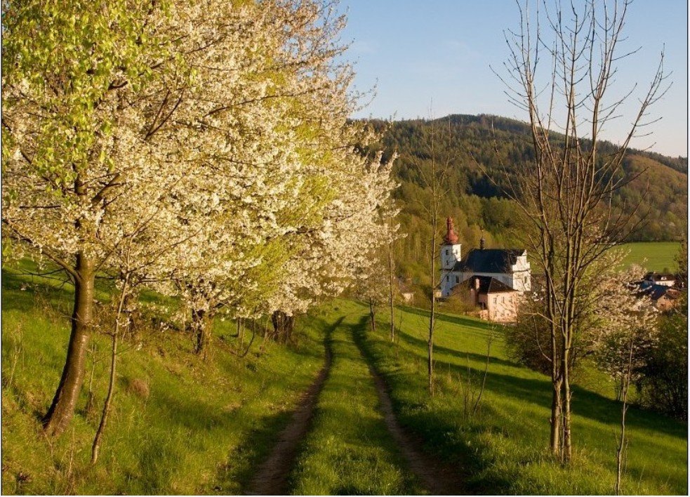 Solve Krajina_Country jigsaw puzzle online with 70 pieces