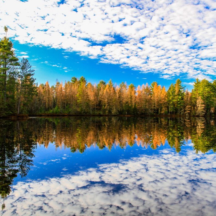 Jigsaw Puzzle | 25 pieces | Autumn Dreamscape | Jigidi