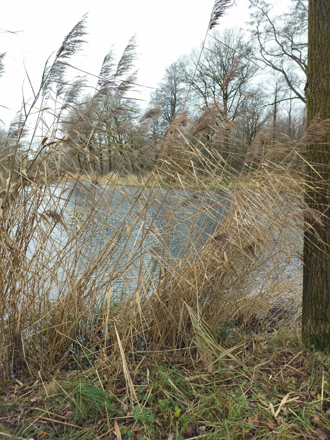 Solve 53 jigsaw puzzle online with 80 pieces