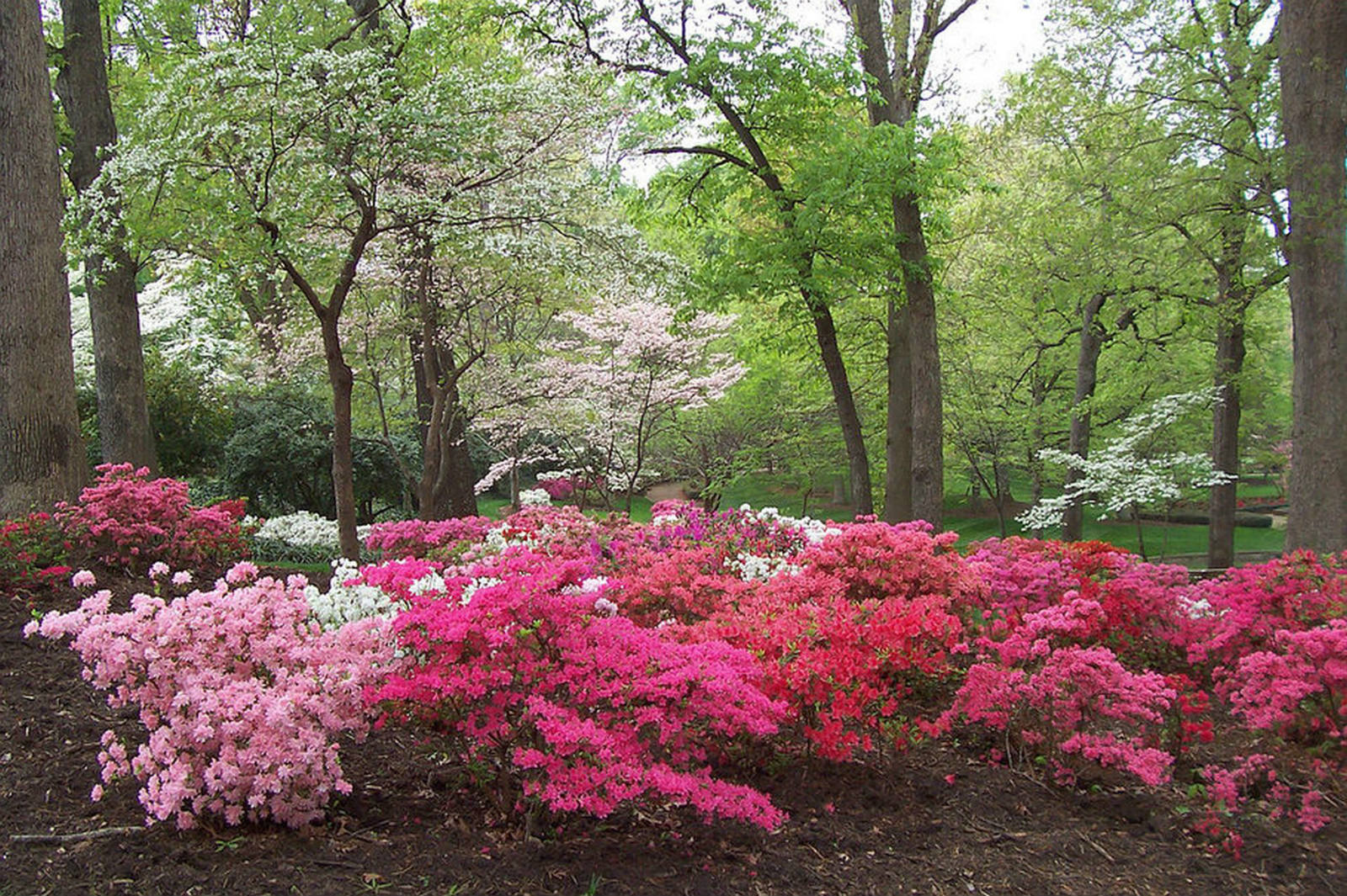 Solve Spring Scenery jigsaw puzzle online with 187 pieces