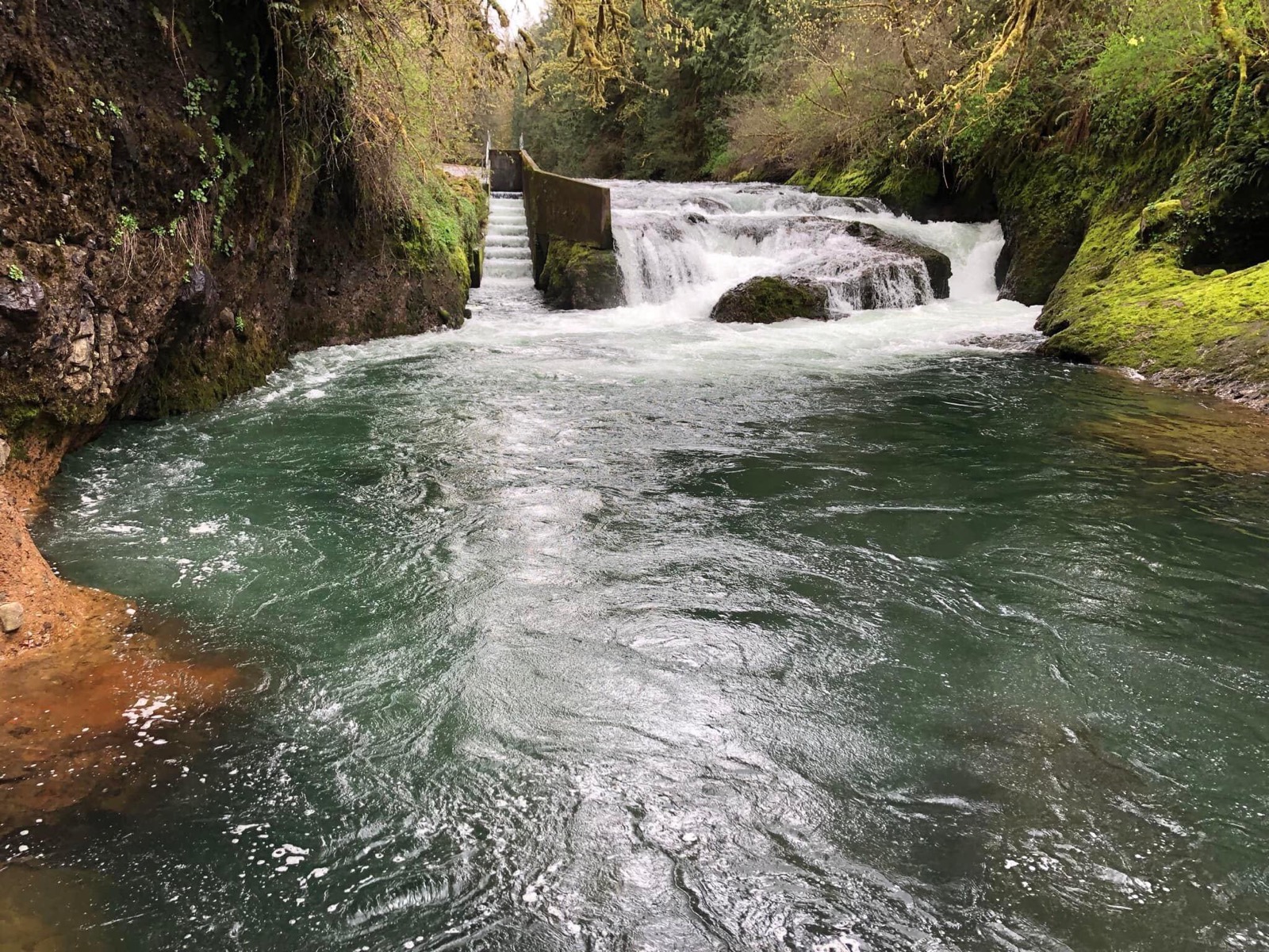 Solve Oregon jigsaw puzzle online with 192 pieces