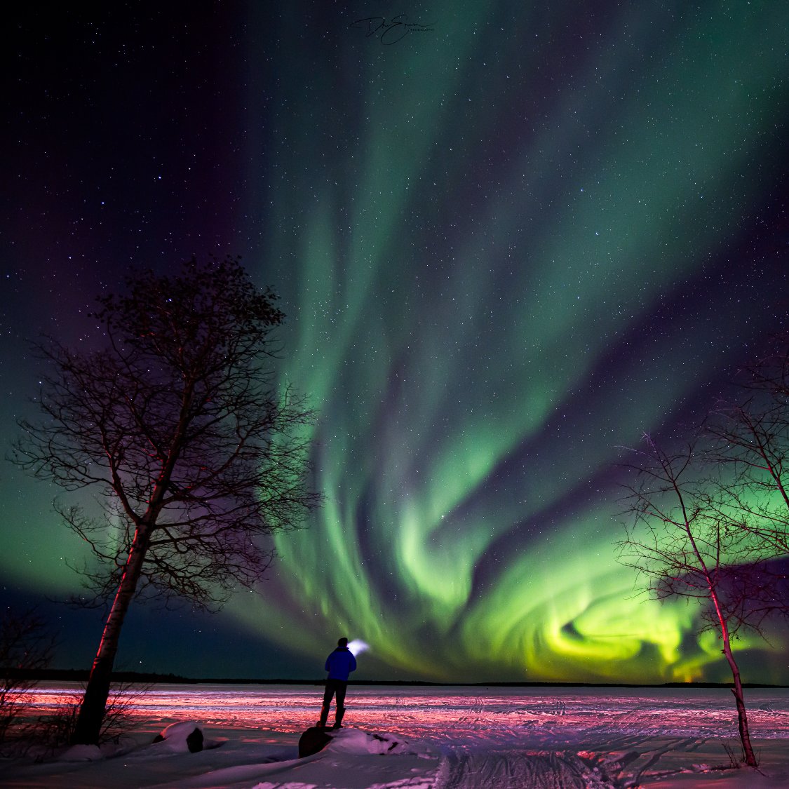 Jigsaw Puzzle | 25 pieces | Under the Northern Lights: Dre Erwin's ...