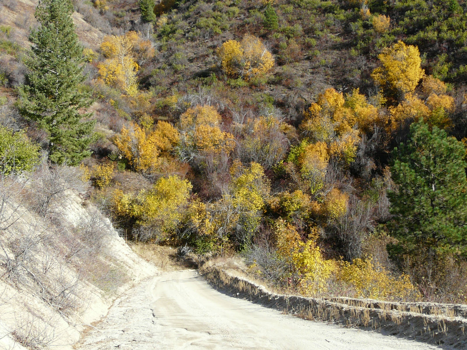 Solve Grimes Pass Road Idaho jigsaw puzzle online with 540 pieces