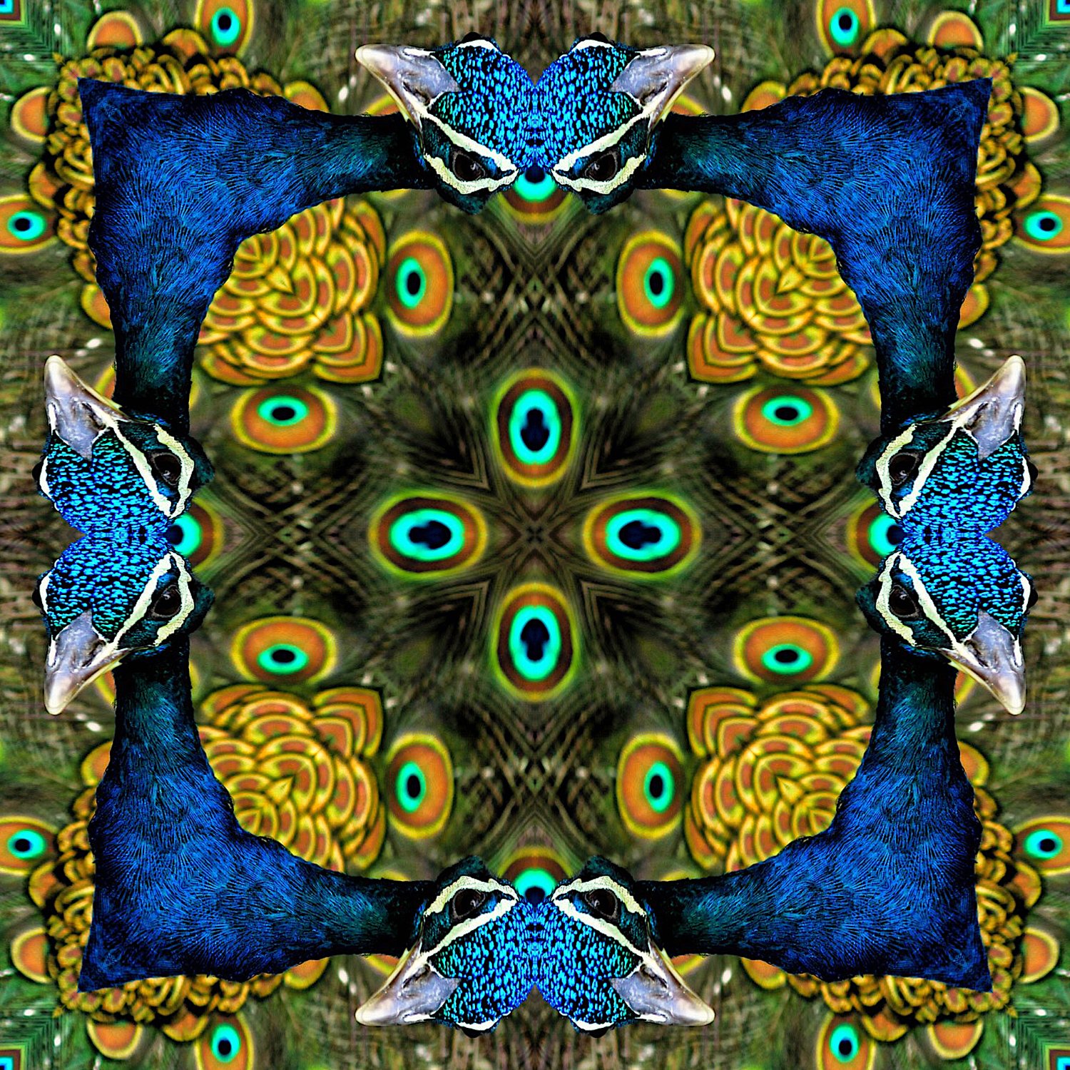 Solve #1 large jigsaw puzzle online with 144 pieces