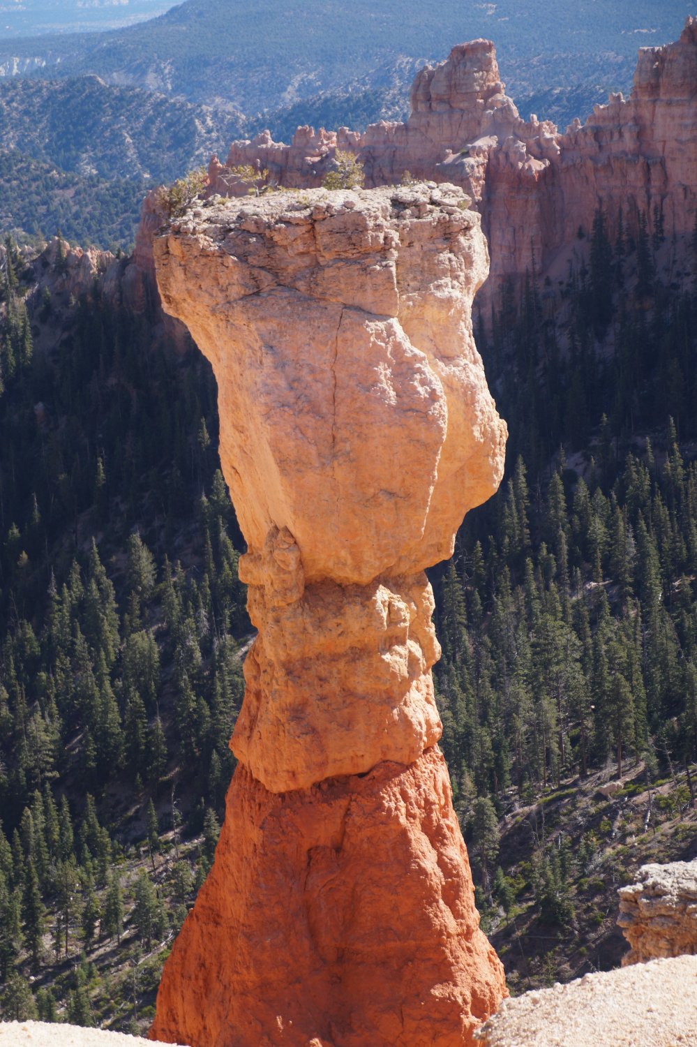 Solve Naming rights jigsaw puzzle online with 126 pieces