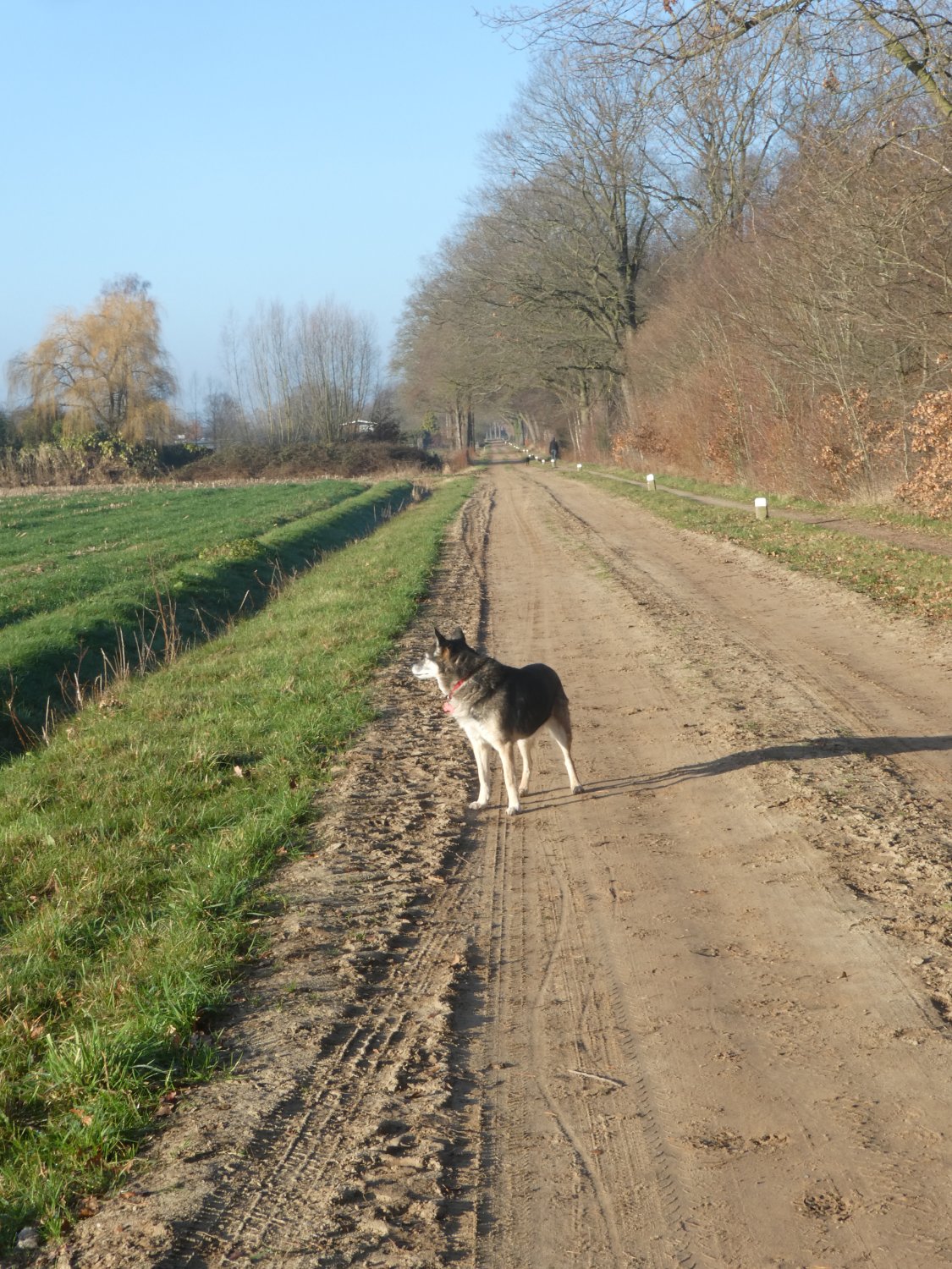 Solve Today, 31st December, is the worst day of the year for all ...