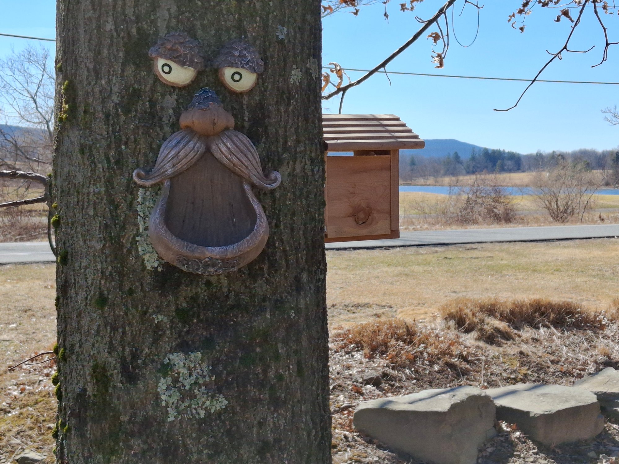 Solve Guarding the bird feeder jigsaw puzzle online with 88 pieces