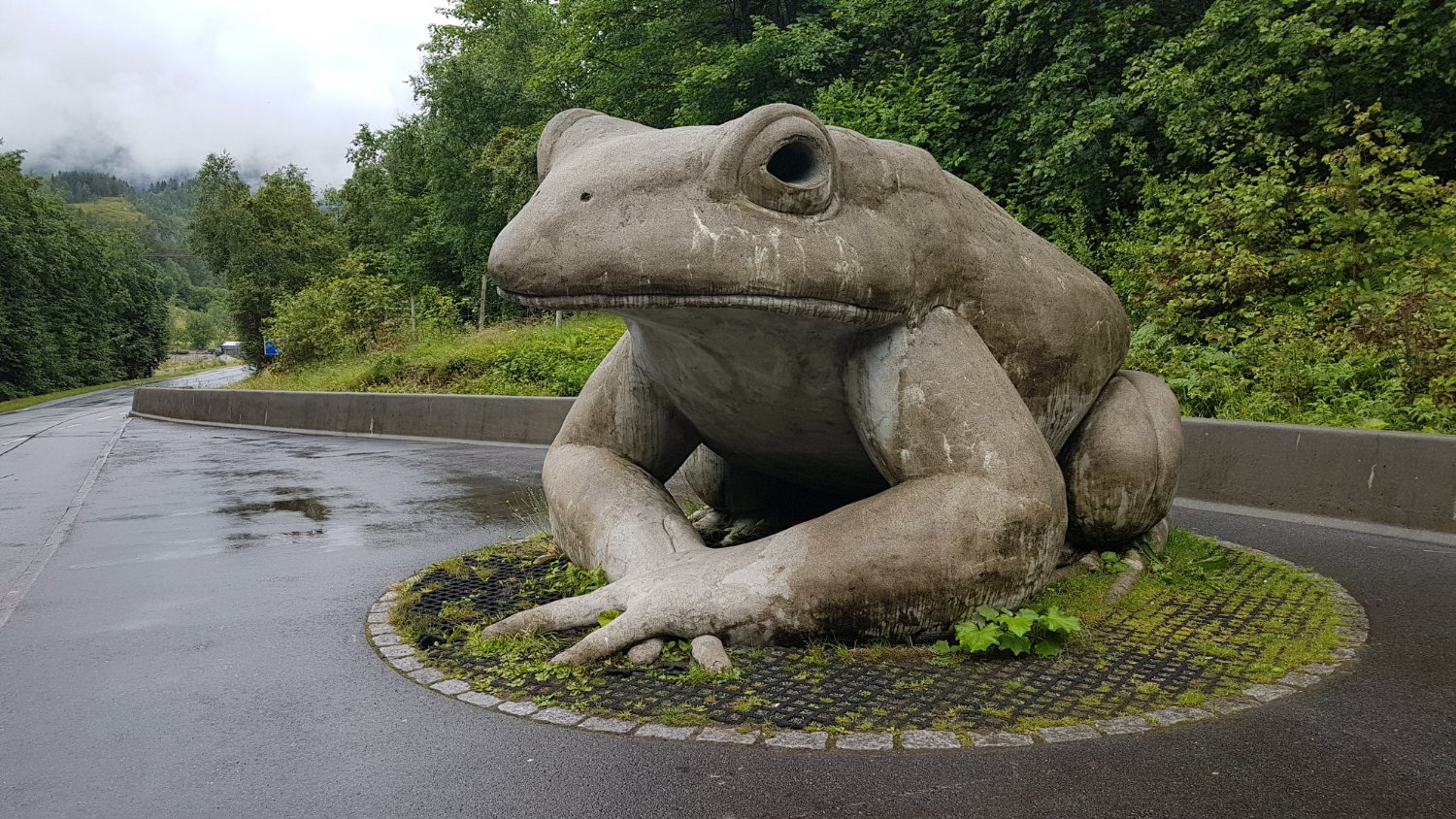 Solve The Toad jigsaw puzzle online with 15 pieces