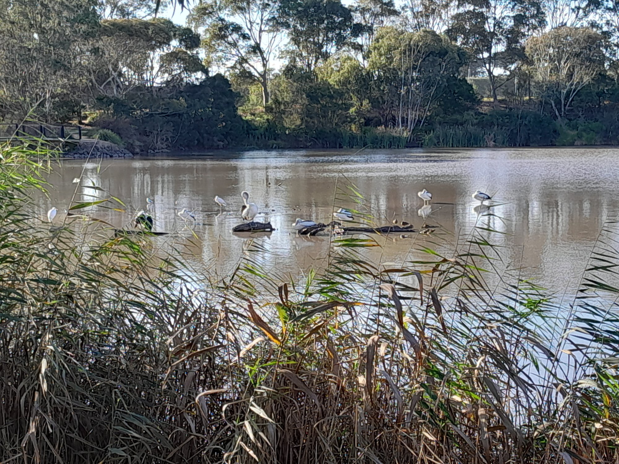 Solve Lake Guyatt, Sale, Vic, Aus III jigsaw puzzle online with 88 pieces