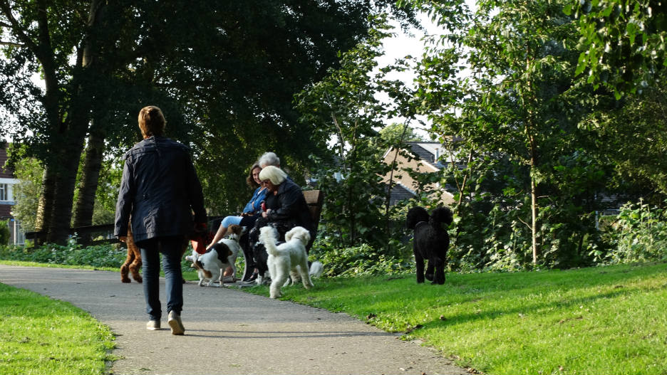 Solve Flashback to summer ☼ jigsaw puzzle online with 15 pieces