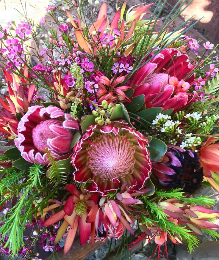 Solve Happiness is.....Variety of Proteas. jigsaw puzzle online with 80 ...