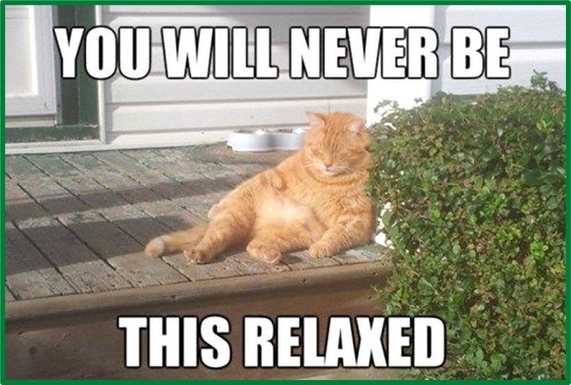 Solve It's Saturday, So Try To Be This Relaxed! jigsaw puzzle online ...