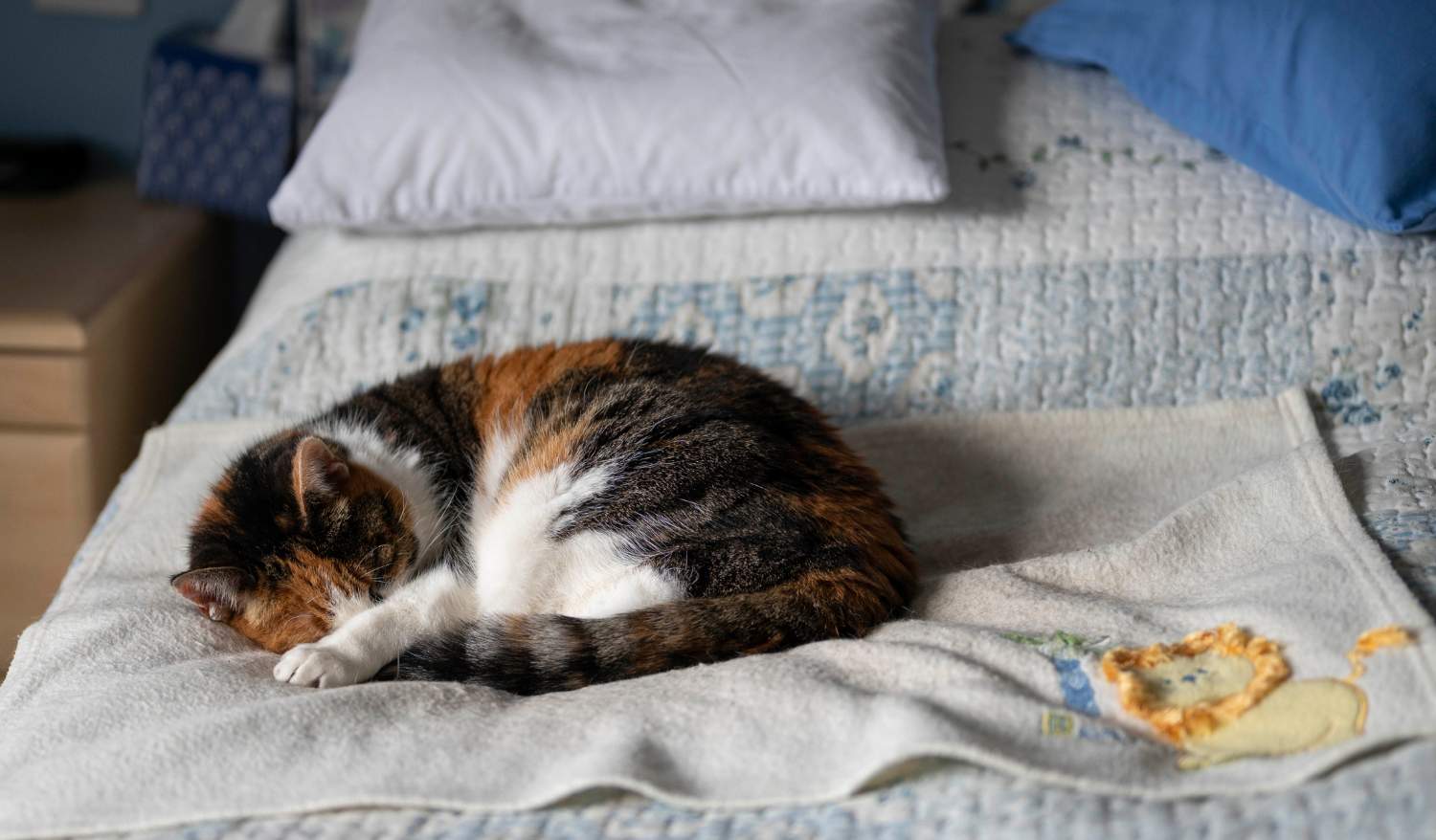 Solve We Can Sleep Easier Now jigsaw puzzle online with 60 pieces