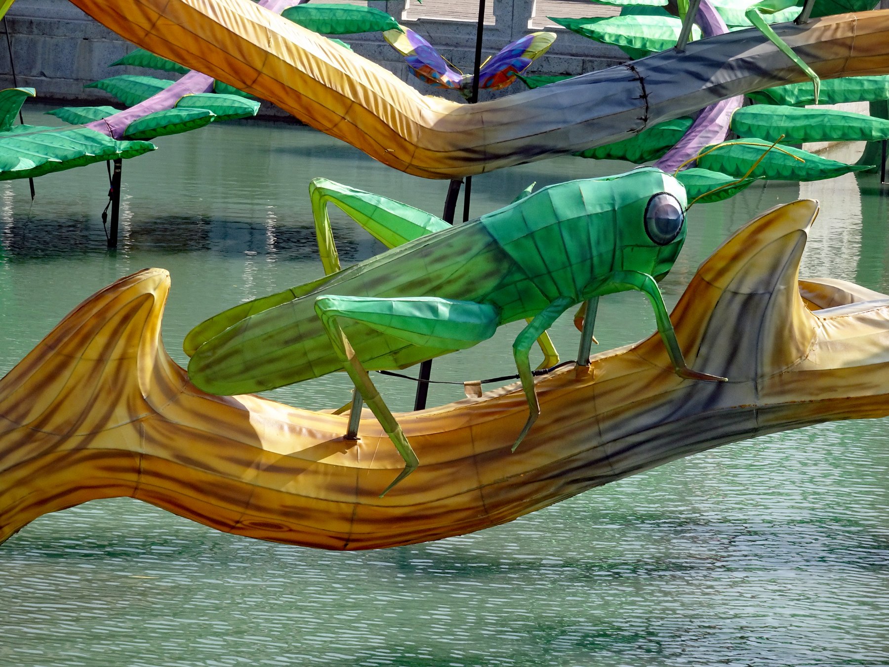 Solve Grasshopper Latern jigsaw puzzle online with 63 pieces