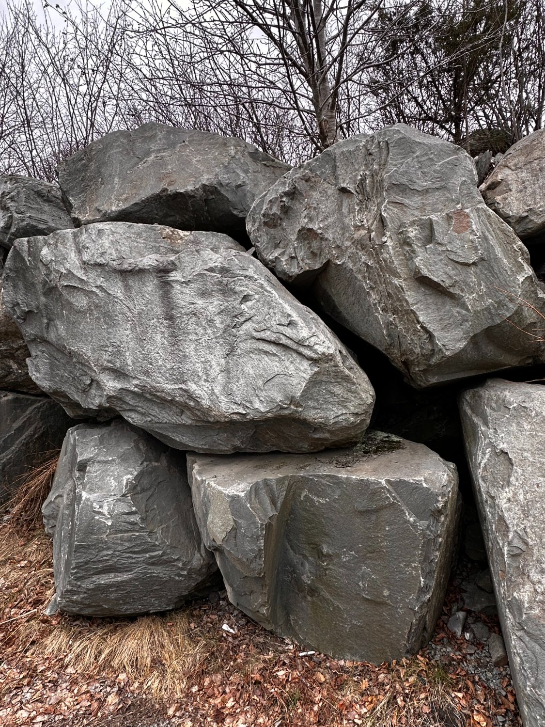 Solve I wonder what's hiding in there!?! jigsaw puzzle online with 63 ...