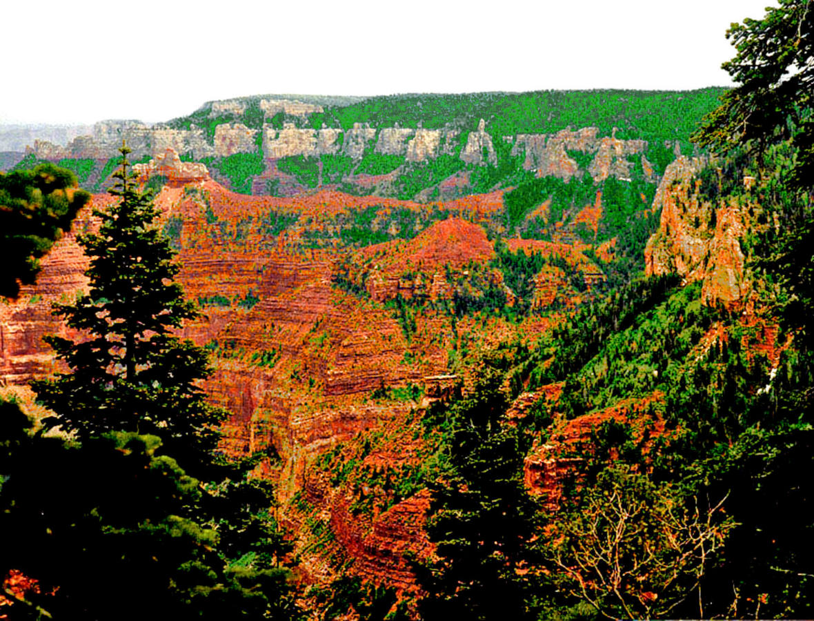 Solve Grand Canyon - Ken Patrick Trail jigsaw puzzle online with 63 pieces