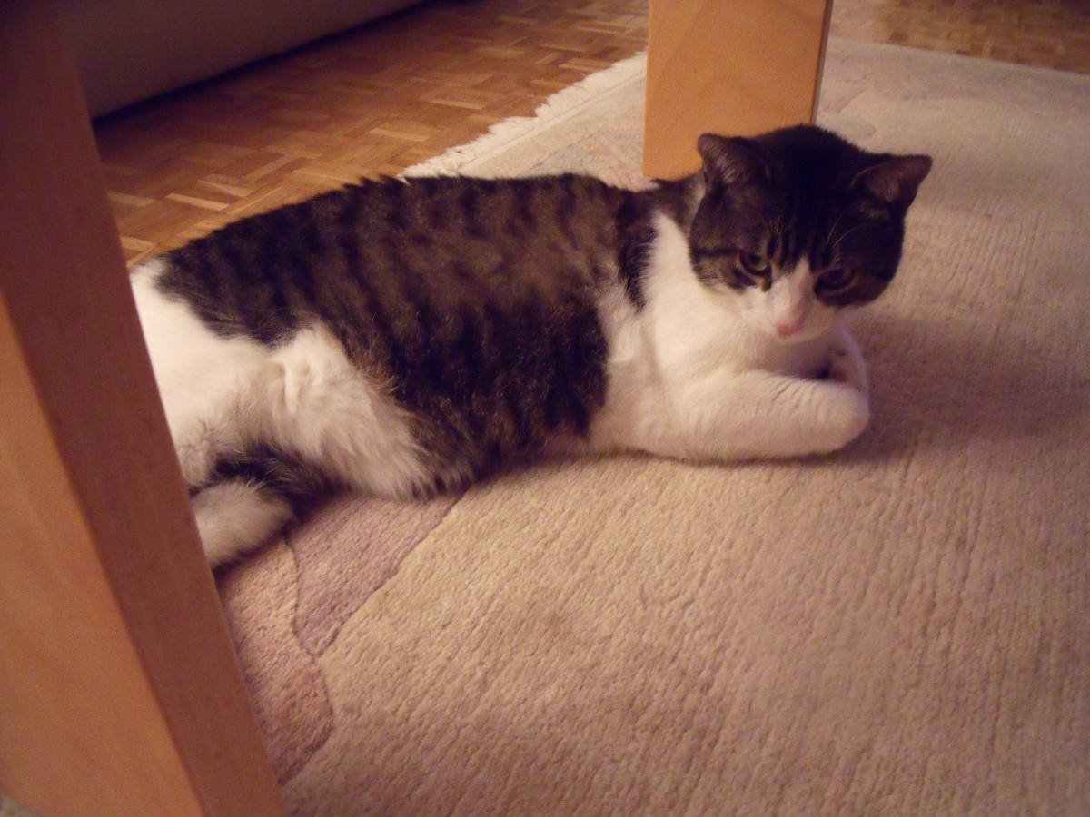 Solve The weather is so boring - but what can we do? jigsaw puzzle ...