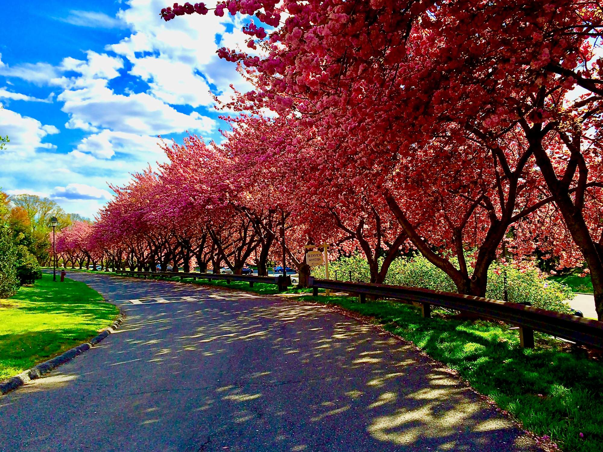 Solve A Moment in Spring jigsaw puzzle online with 352 pieces