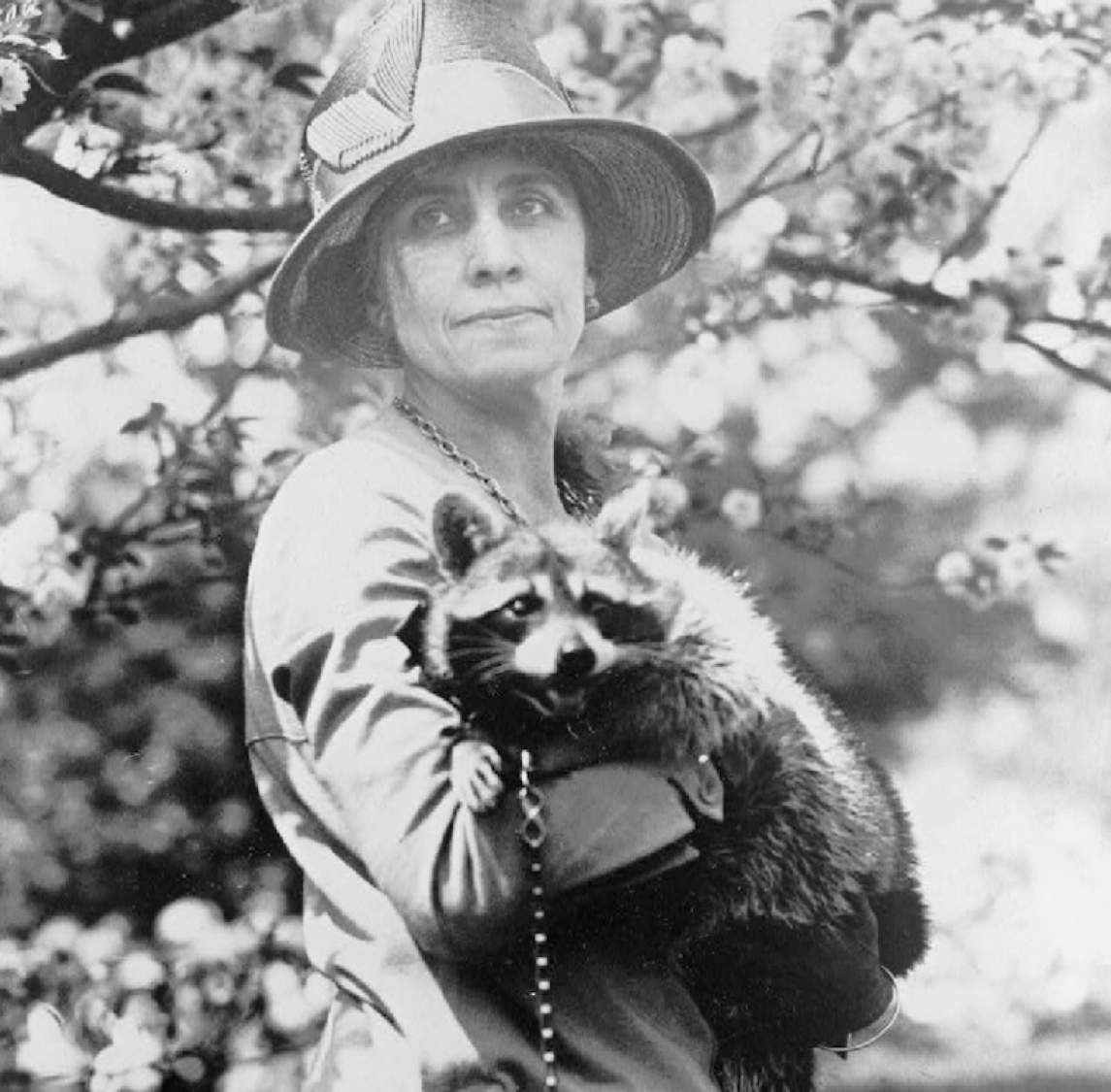 Solve Rebecca Raccoon jigsaw puzzle online with 36 pieces