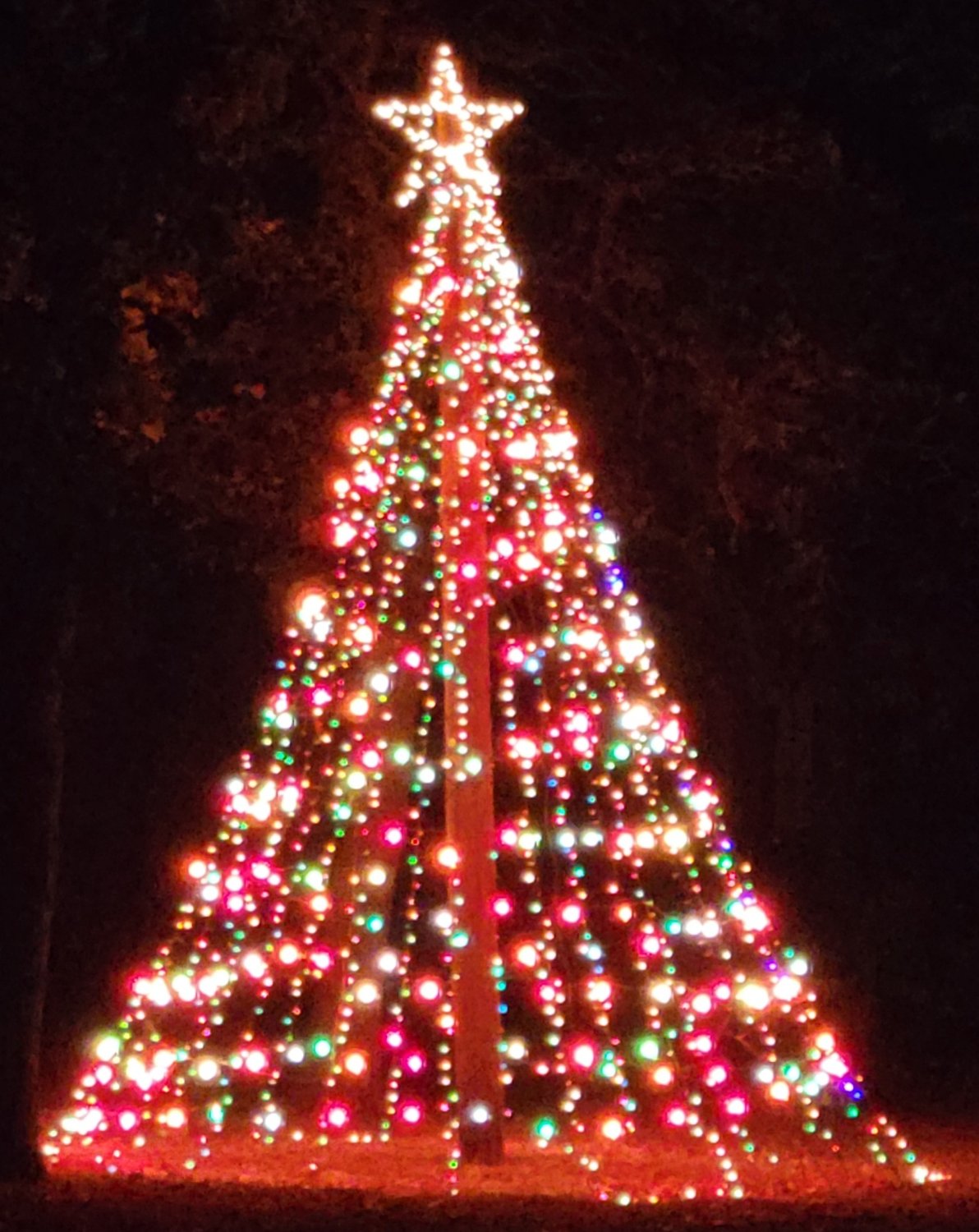Solve O Christmas Tree, O Christmas Tree! jigsaw puzzle online with 99 ...
