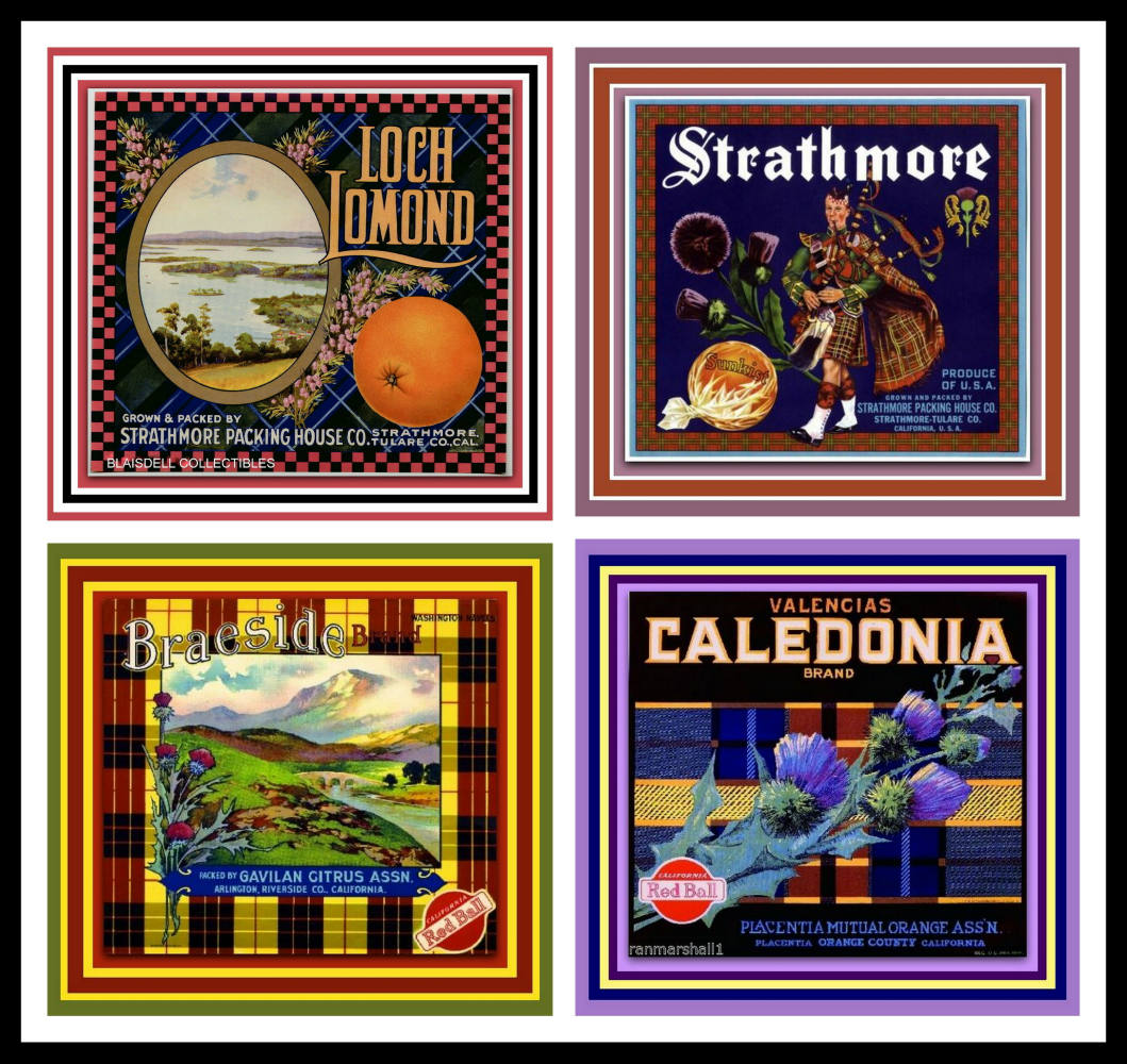 Solve Vintage Fruit Labels - With a Scottish Theme jigsaw puzzle online ...