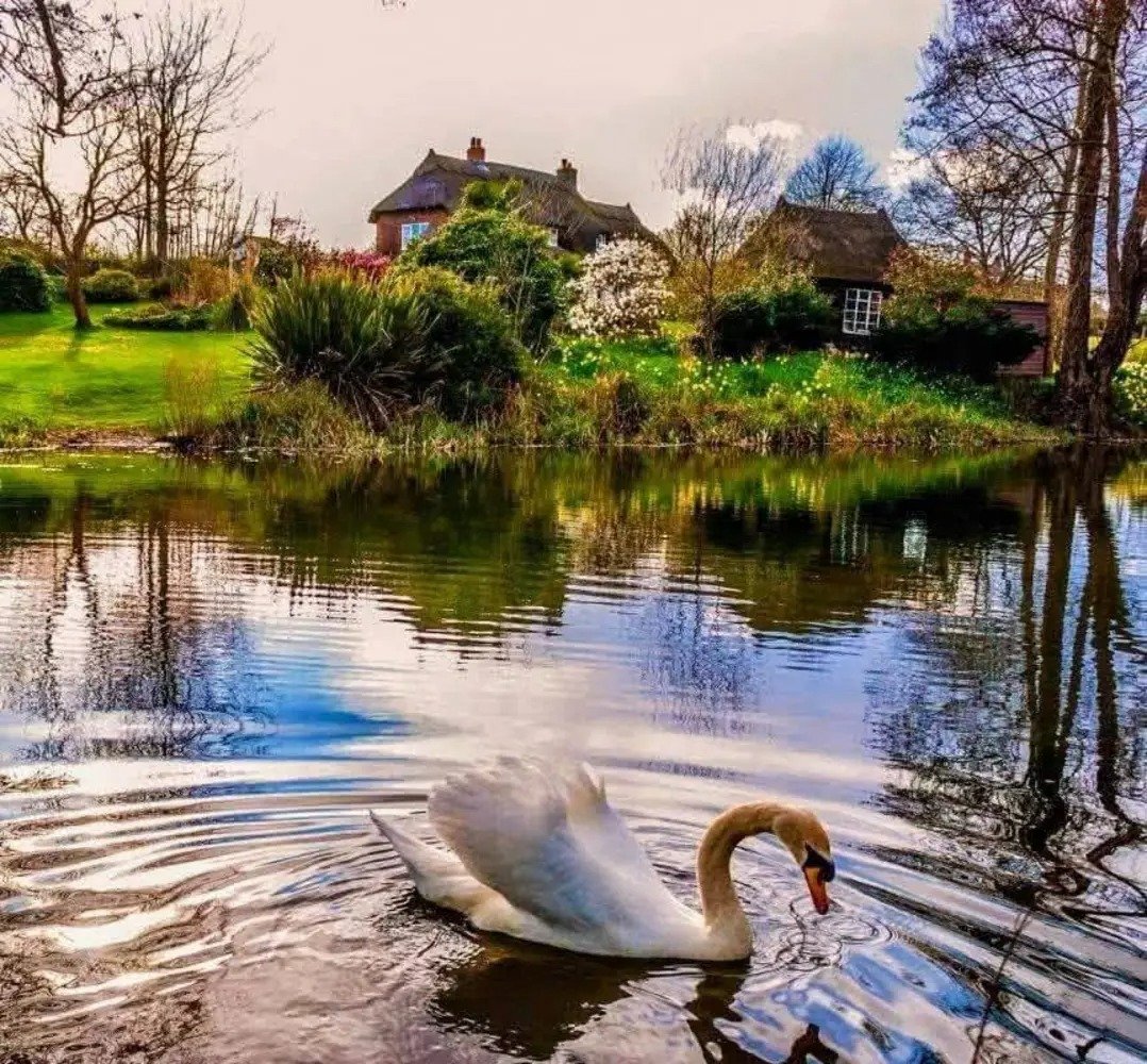 Solve Labutí jezero jigsaw puzzle online with 9 pieces