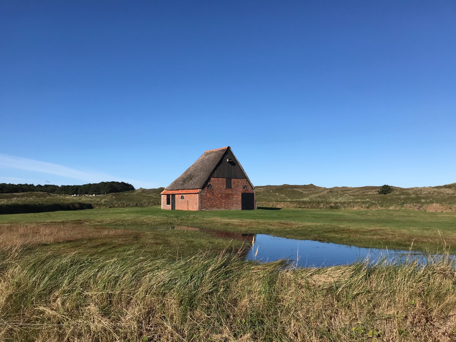 Solve 2574 De Muy Texel Netherlands jigsaw puzzle online with 12 pieces
