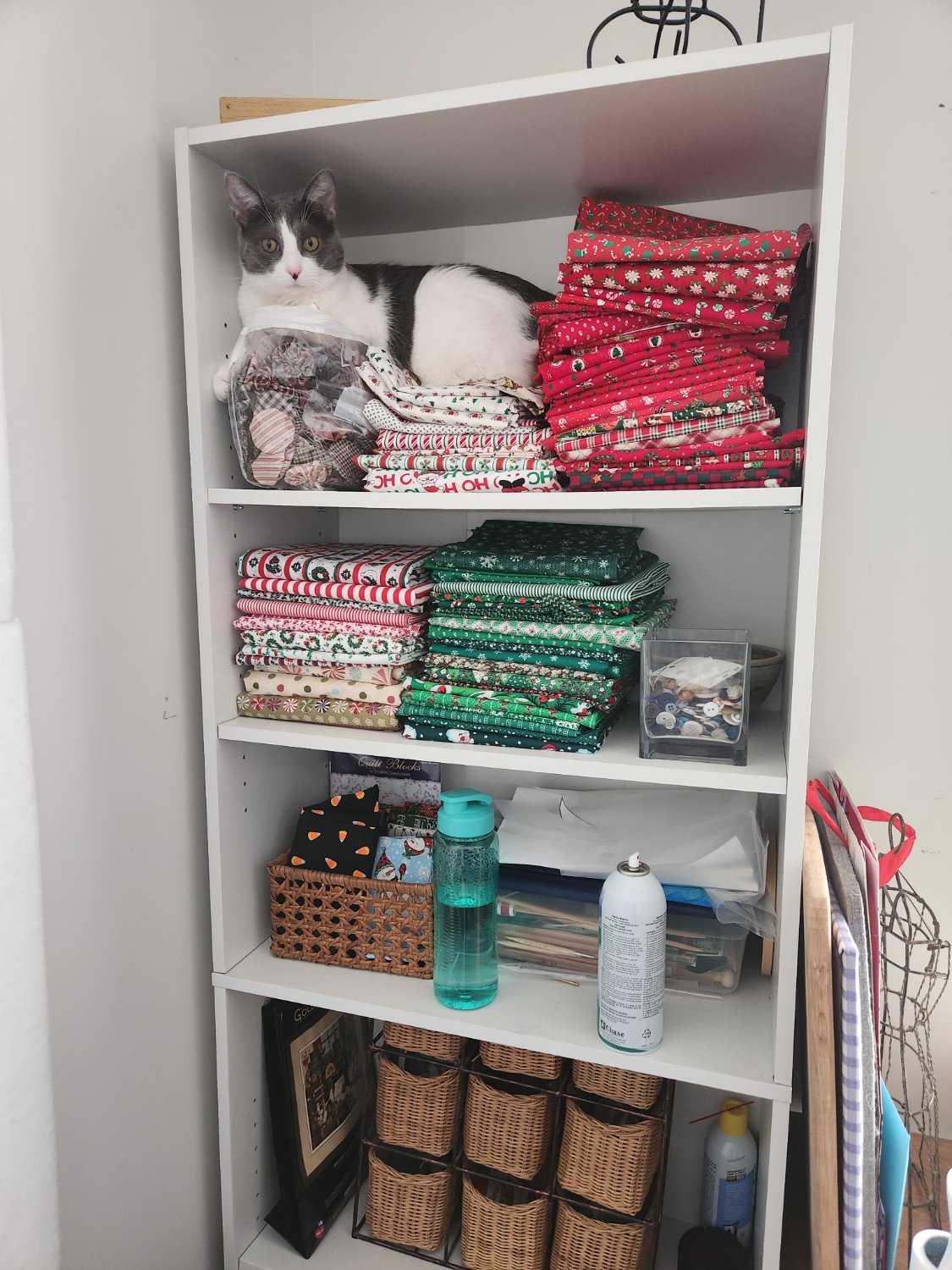 Solve Beats Resting On Pins and Needles jigsaw puzzle online with 48 pieces