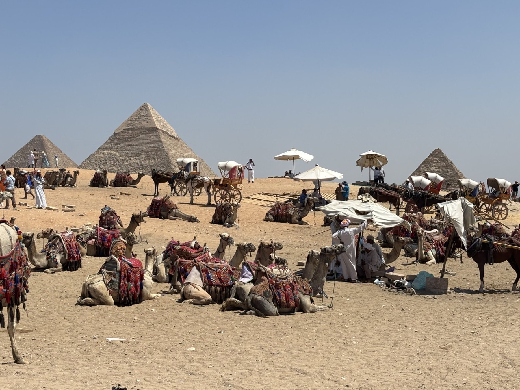Solve Pyramids jigsaw puzzle online with 63 pieces