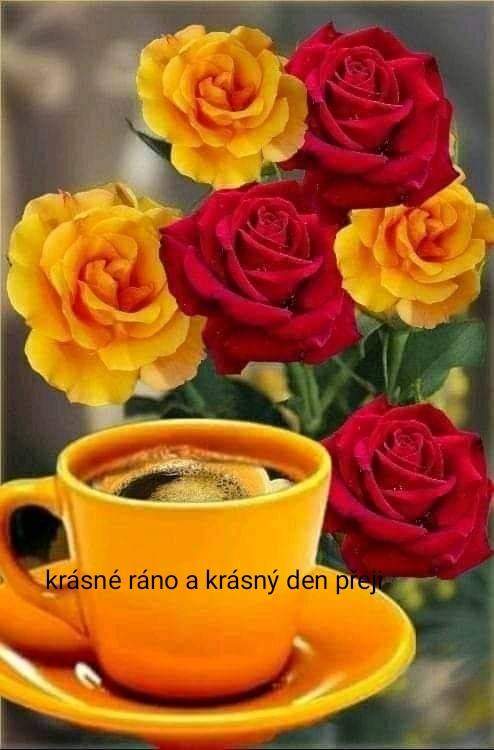 Solve krásné ráno jigsaw puzzle online with 54 pieces