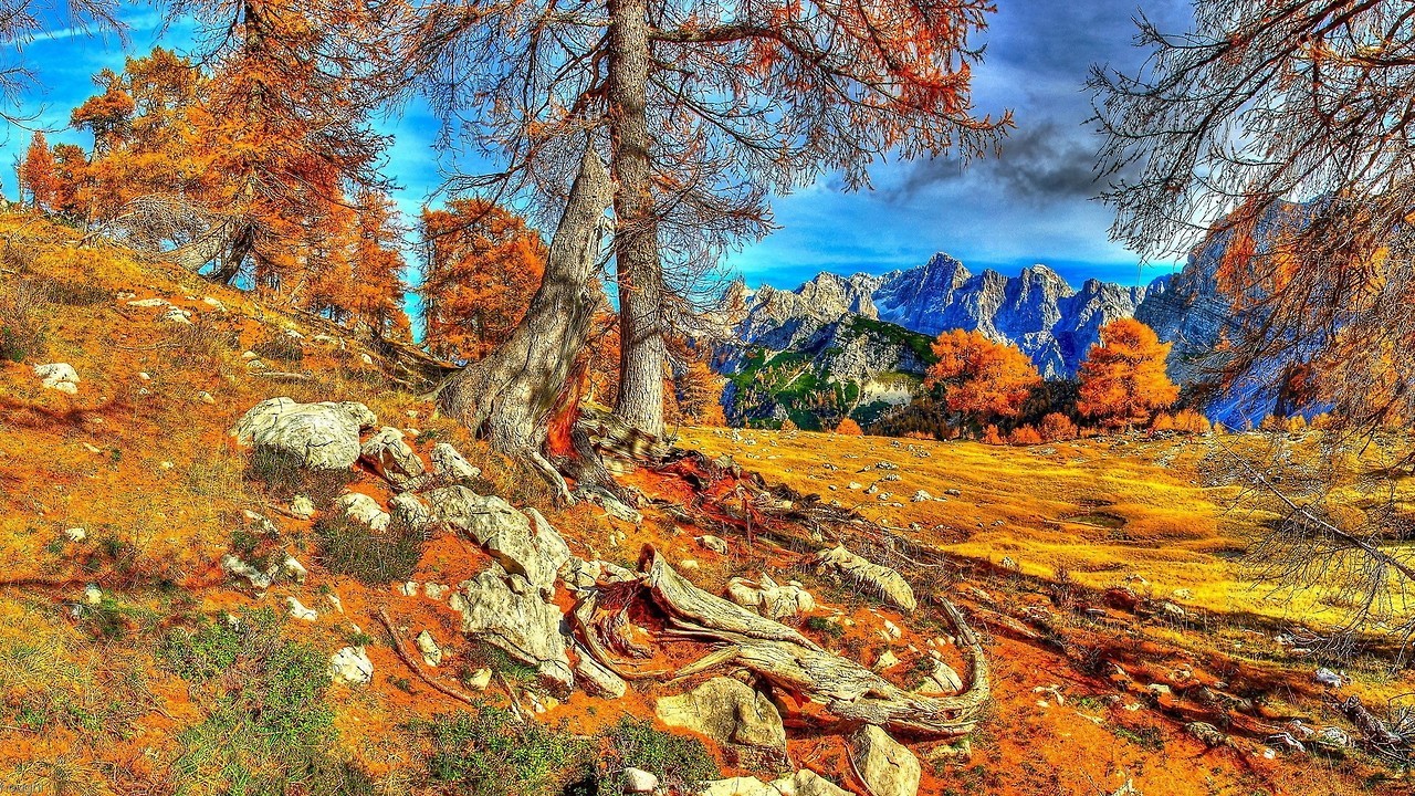 Solve 78 jigsaw puzzle online with 252 pieces