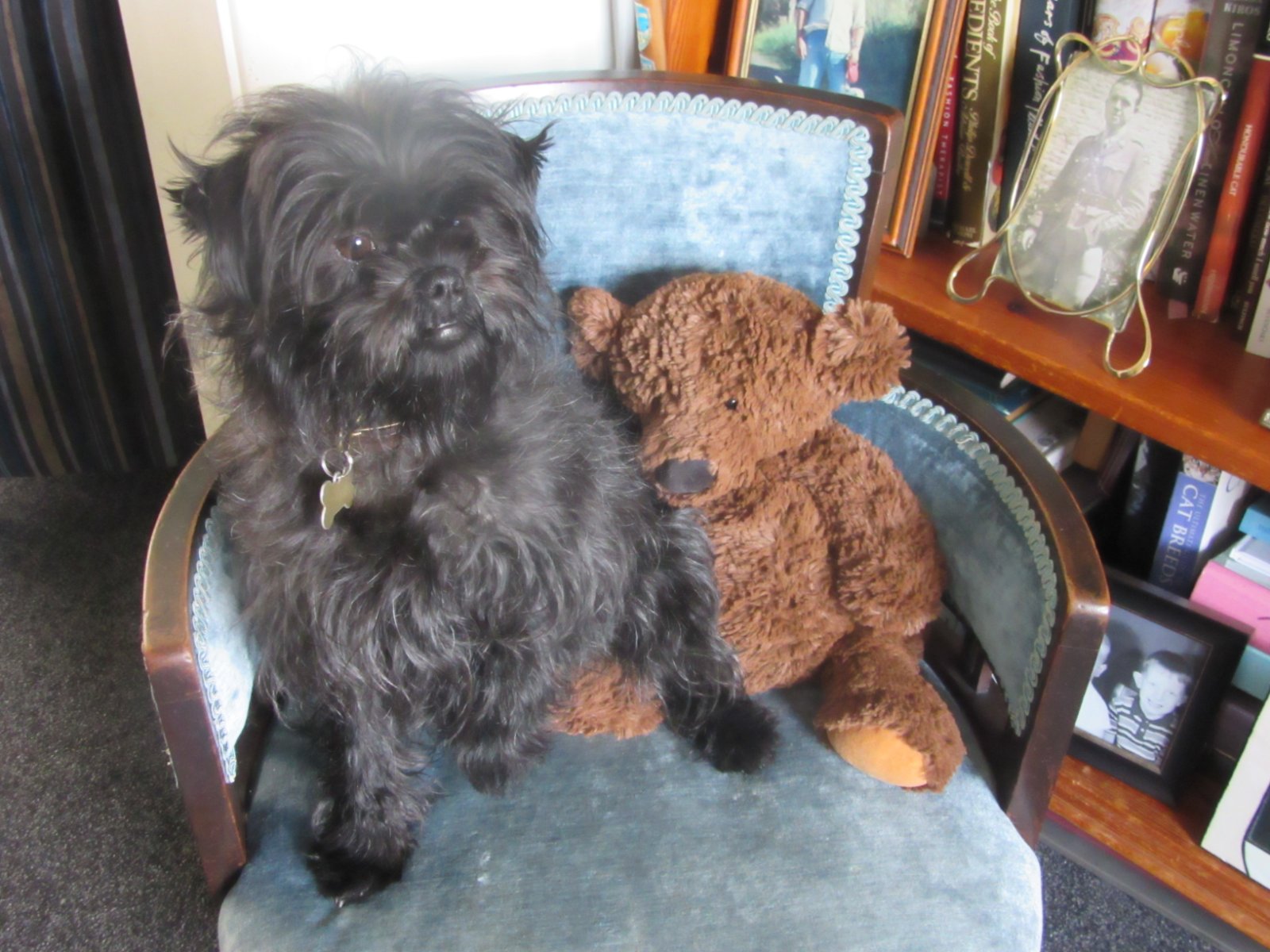 Solve Sammy and ted jigsaw puzzle online with 48 pieces