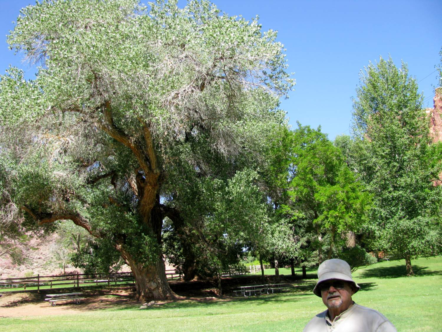 Solve A Couple Of Grizzled Veterans In Capitol Reef National Park ...