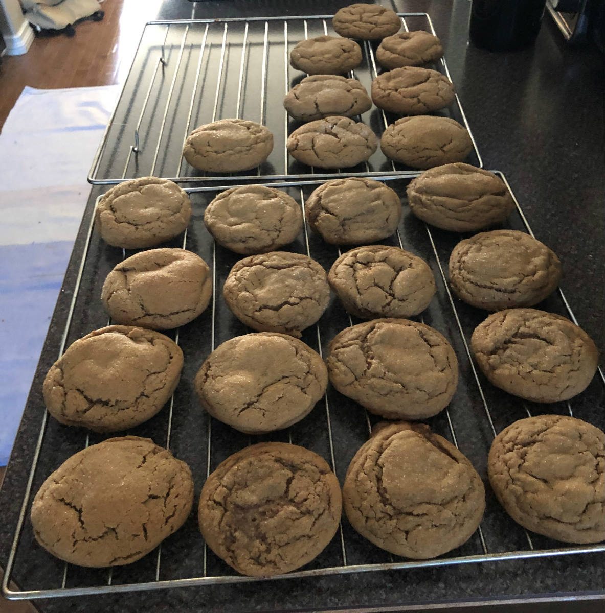 Solve 19 12 19 Chewy Ginger Cookies jigsaw puzzle online with 225 pieces