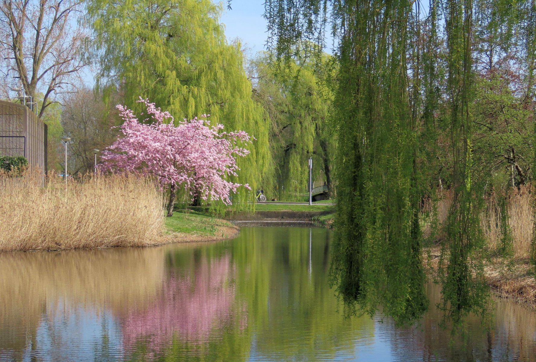 Solve Spring!!! jigsaw puzzle online with 54 pieces