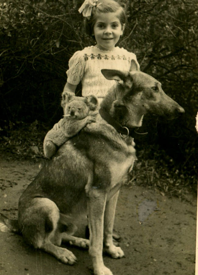 Solve ==THEME==DOGS==FOR BARRY== ME WITH DOG & KOALA AT LONE PINE ...