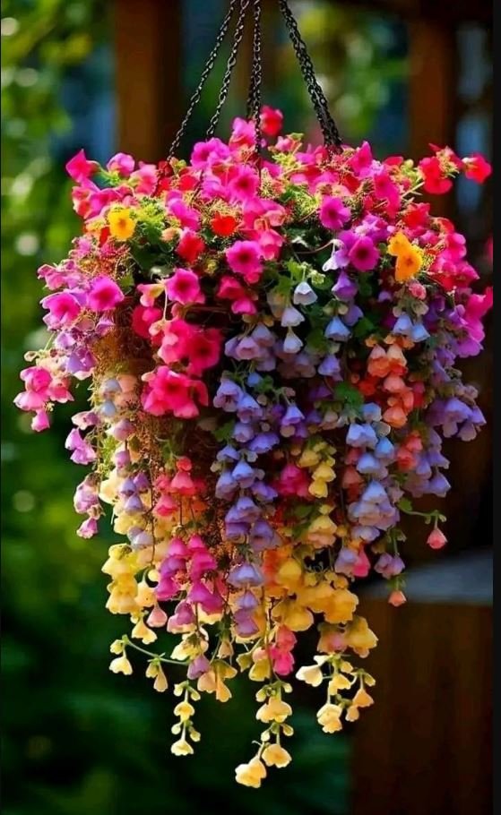 Solve spring flowers jigsaw puzzle online with 40 pieces