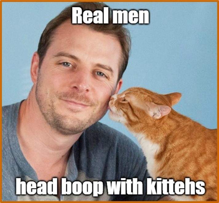 Solve Real Men Boop the Kitties and the Kitties Boop Them Right Back ...