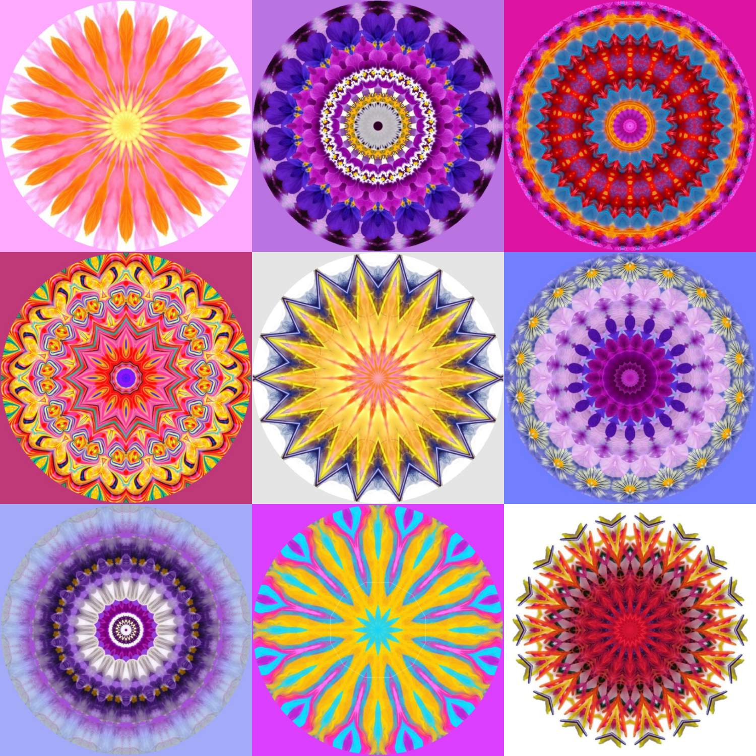 Solve 725 light colours very large jigsaw puzzle online with 576 pieces