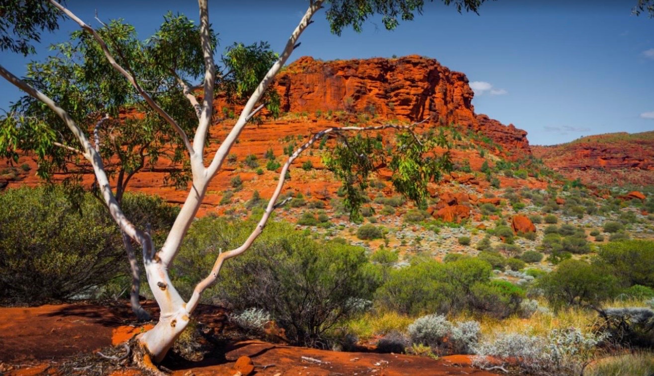 Solve The Outback, AUSTRALIA 🇦🇺 jigsaw puzzle online with 84 pieces