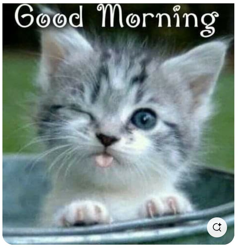 Solve This Cheeky Little Kitten Wishes You A Good Morning! jigsaw ...