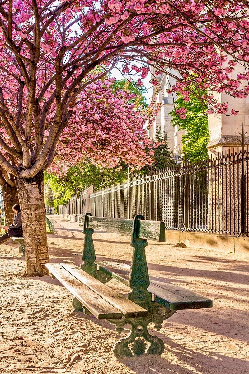 Solve SPRING IN PARIS jigsaw puzzle online with 70 pieces