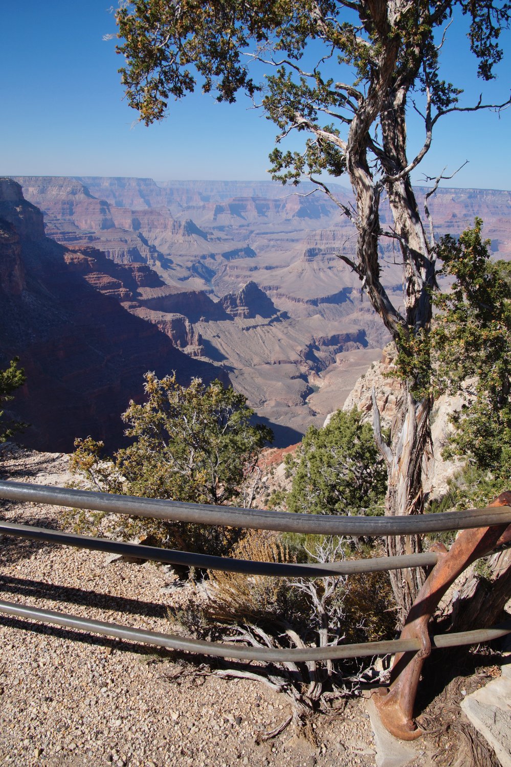 Solve Caution jigsaw puzzle online with 126 pieces