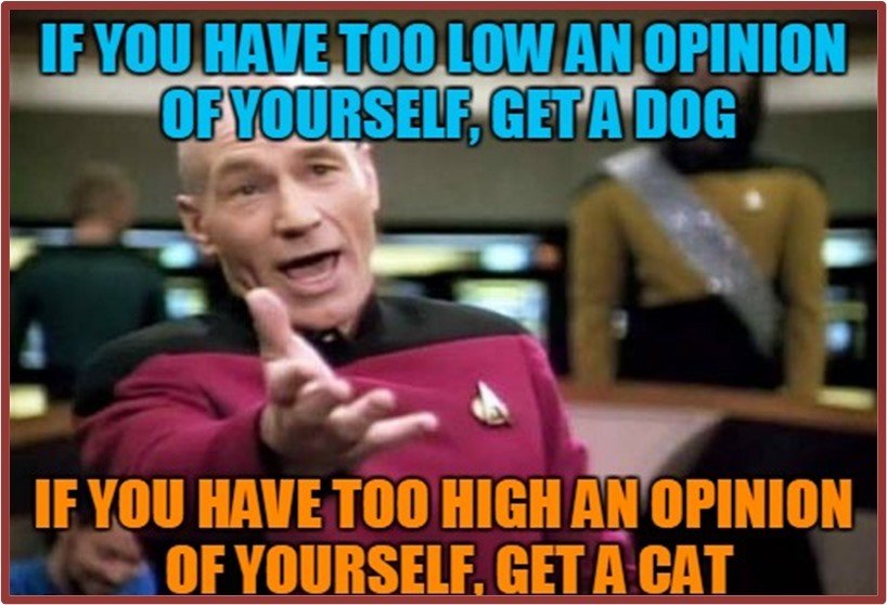 Solve Makes Sense! jigsaw puzzle online with 35 pieces