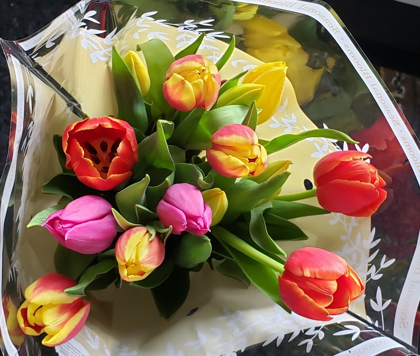 Solve Tulips jigsaw puzzle online with 42 pieces