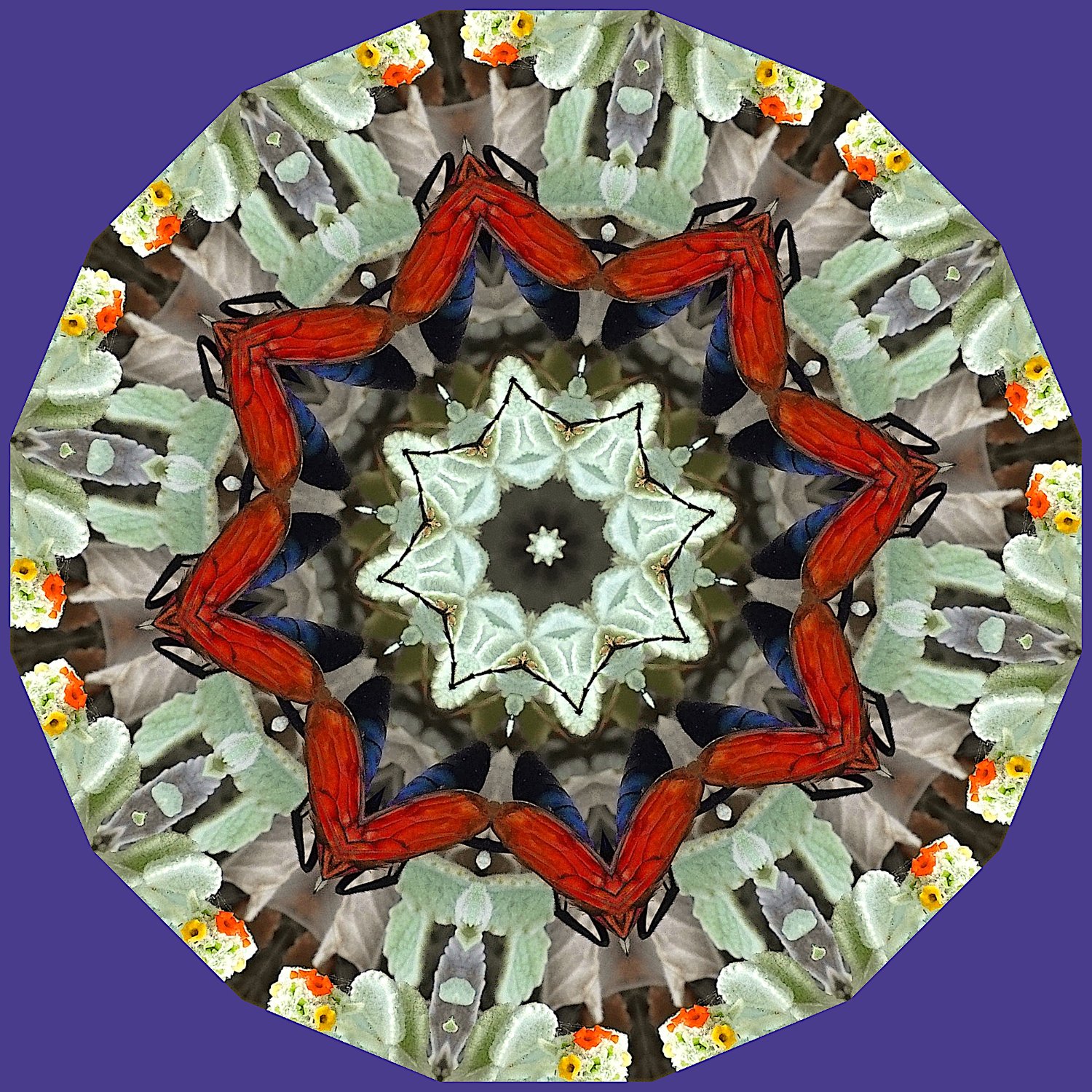 Solve #1 small jigsaw puzzle online with 64 pieces