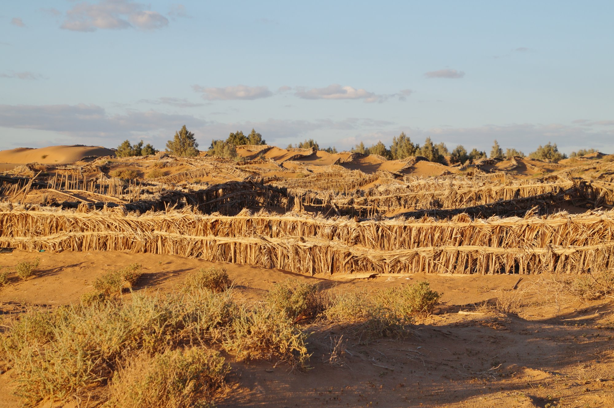 Solve Weaving jigsaw puzzle online with 77 pieces