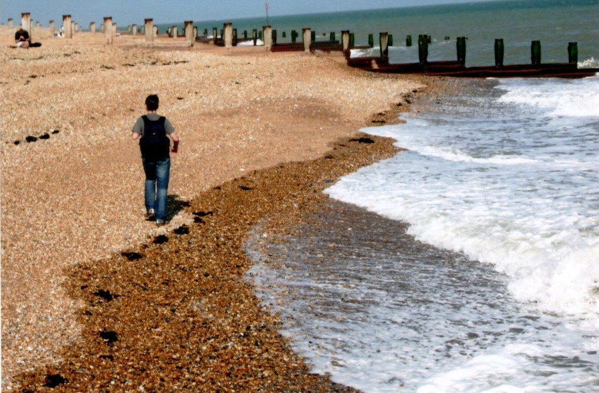 Jigsaw Puzzle | 247 pieces | A walk on the beach. | Jigidi