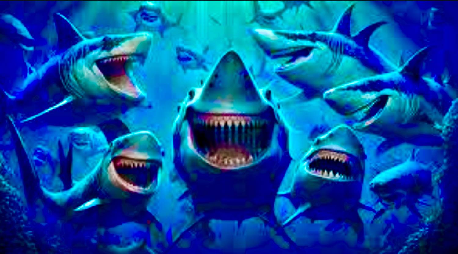 Solve 😎 Happy Shark Week 💦 jigsaw puzzle online with 84 pieces